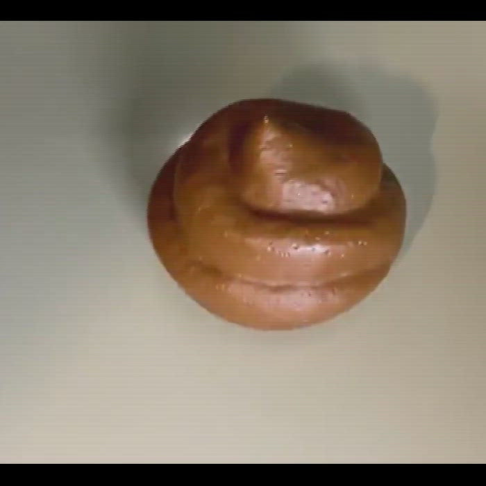 Funny Remote Control Mobile Poop Toy Car for Kids – ArmadaDeals-UK